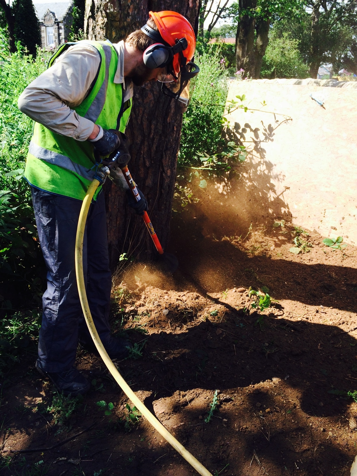Protecting Trees on a Development Site - Arbor Vitae Arboriculture Ltd